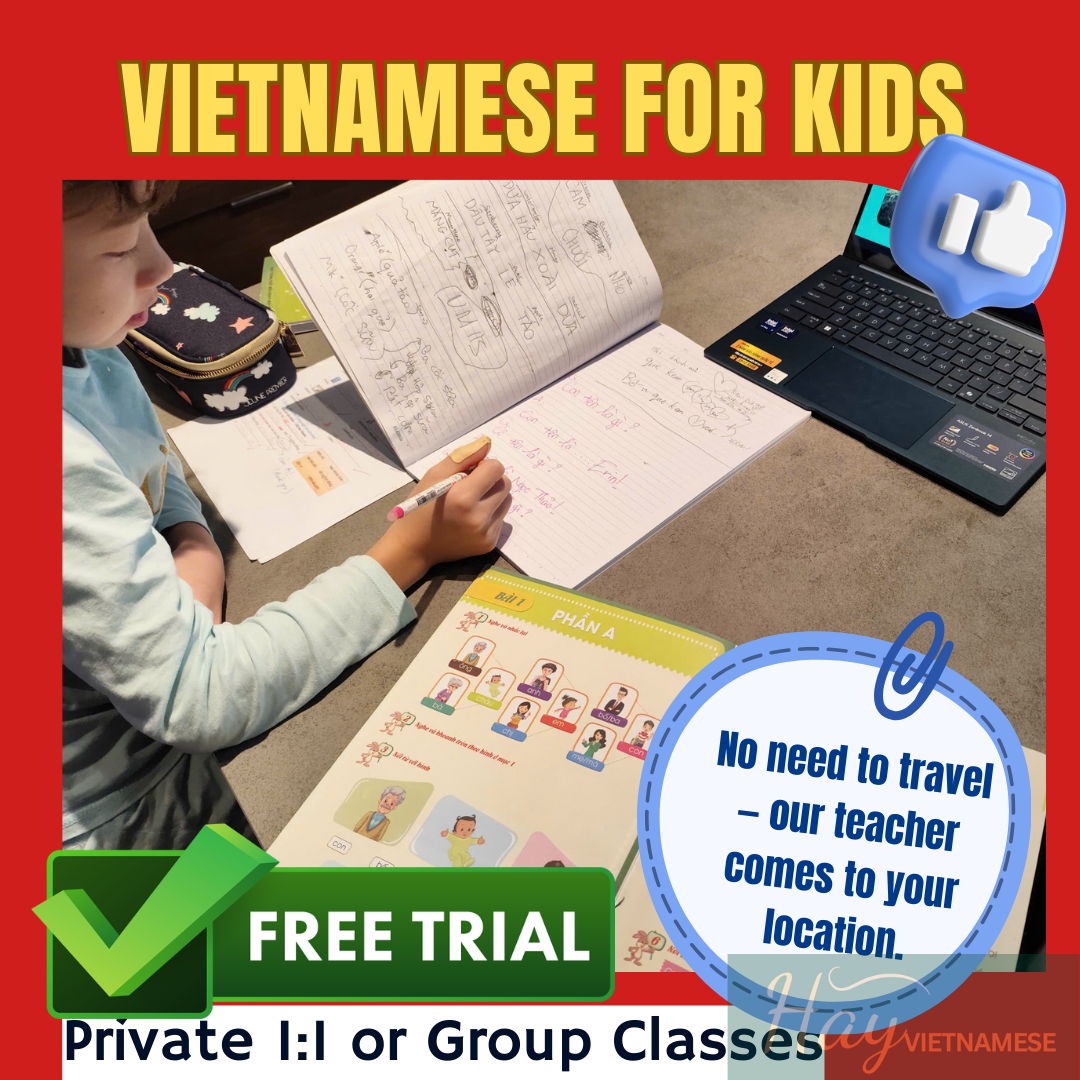 HayVietnamese – Vietnamese Language Academy – HayVietnamese is a ...